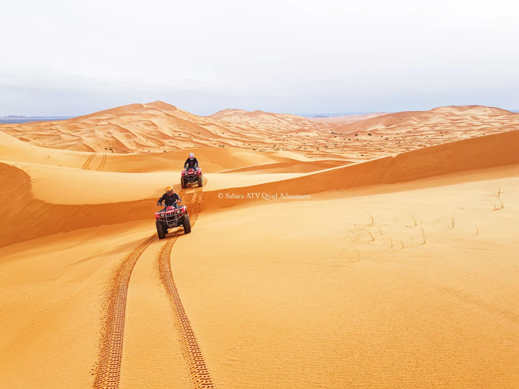 4 Hours Desert ATV Adventure - Half Day Quad Biking Tours